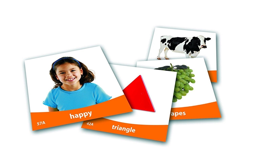 Montessori Materials: Basic Vocabulary Photo Card Set