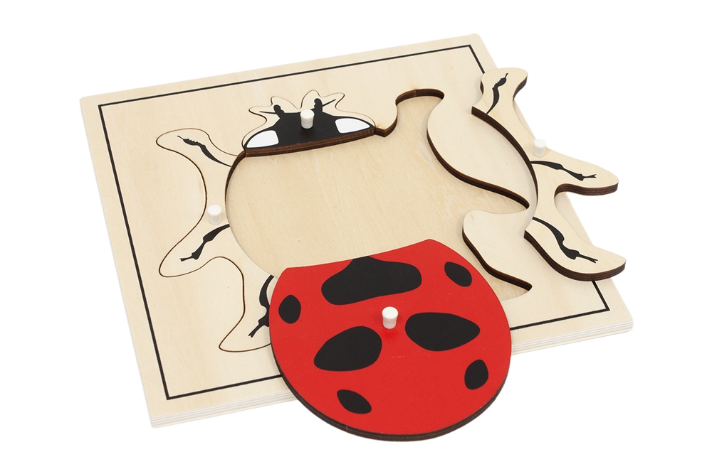 Montessori Materials: Parts of a Lady Bug Puzzle
